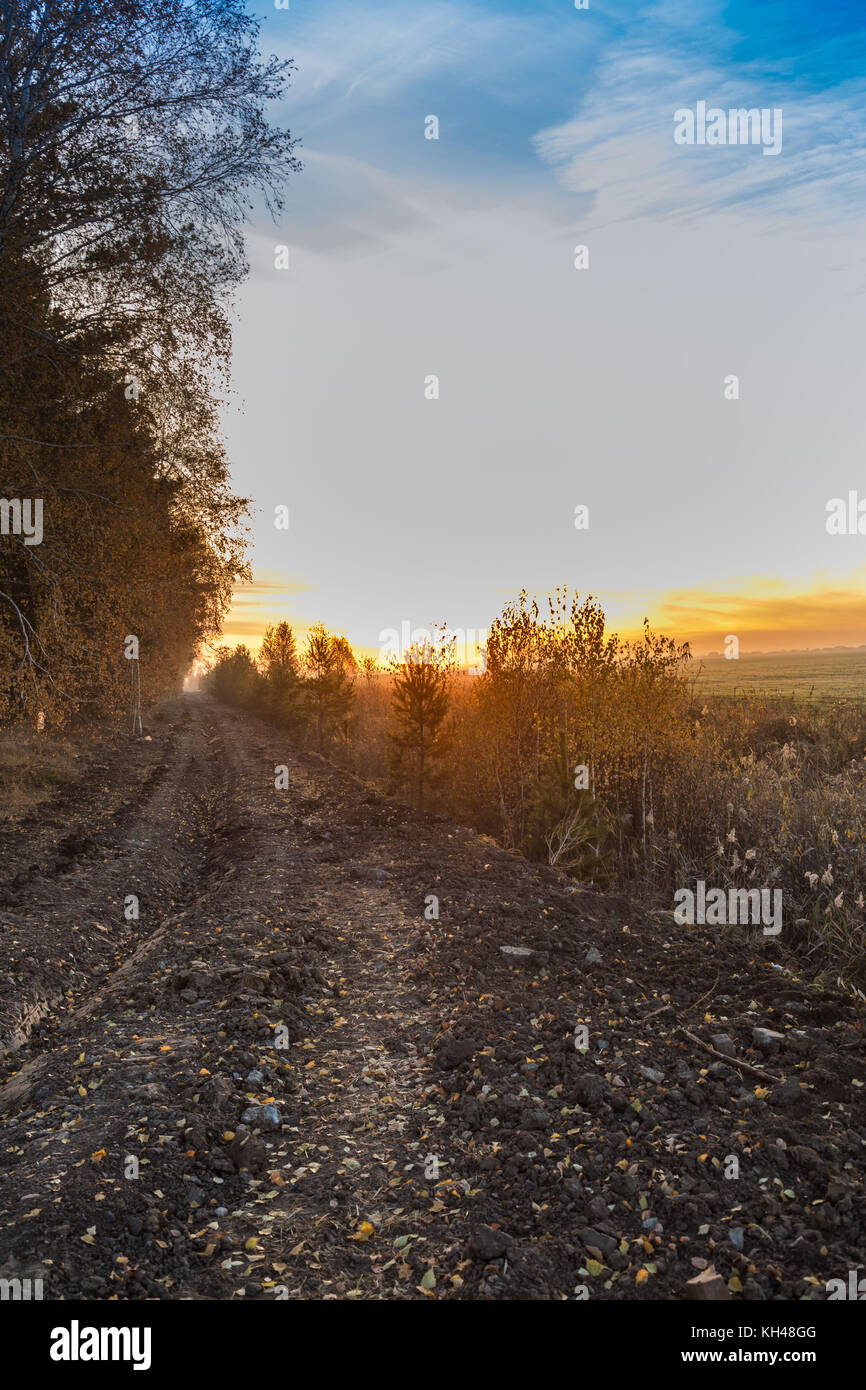 Sunset over the field Stock Photo - Alamy