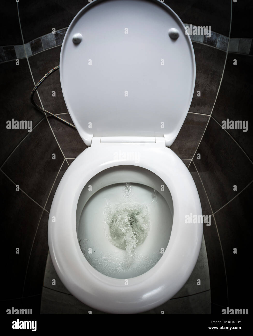 Toilet Porcelain Flush Restroom High Resolution Stock Photography and ...