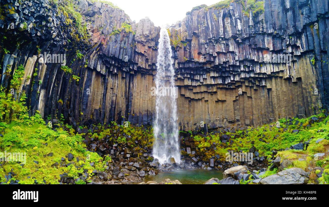 Svartifoss waterfall Iceland Stock Photo - Alamy