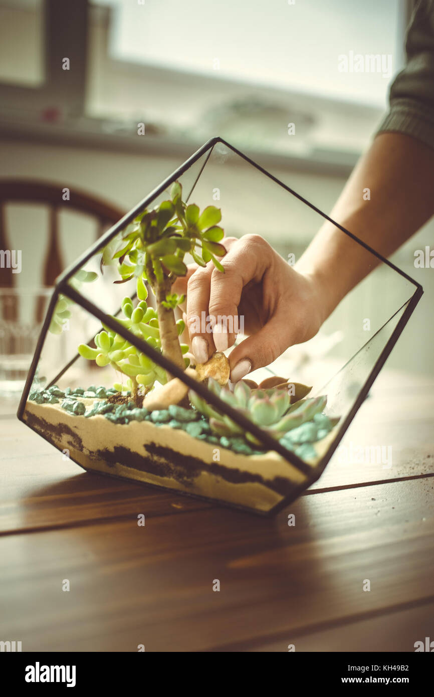 Toned image florist webinar on making of florarium with stones and ...