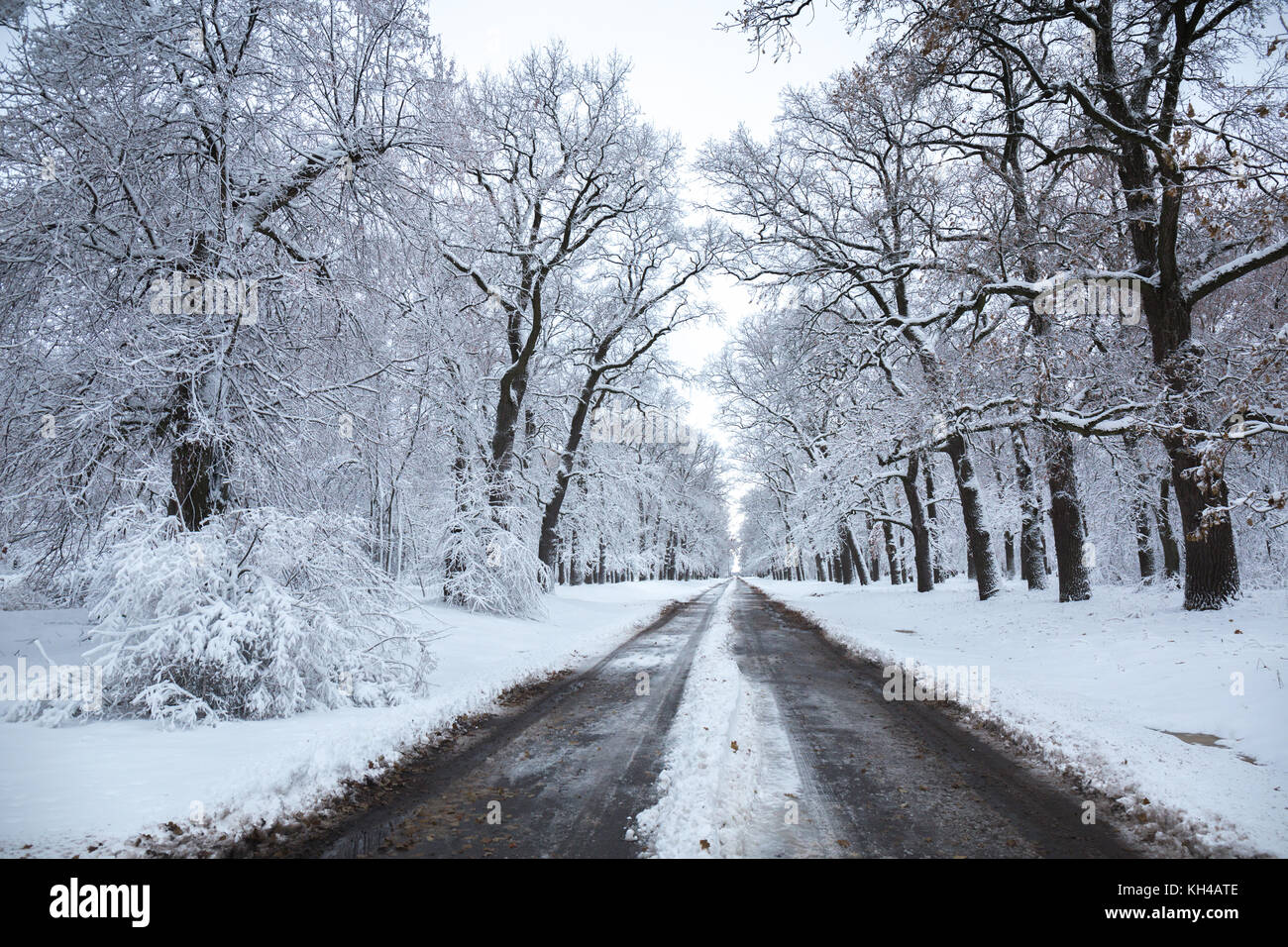Beautiful winter road Stock Photo - Alamy
