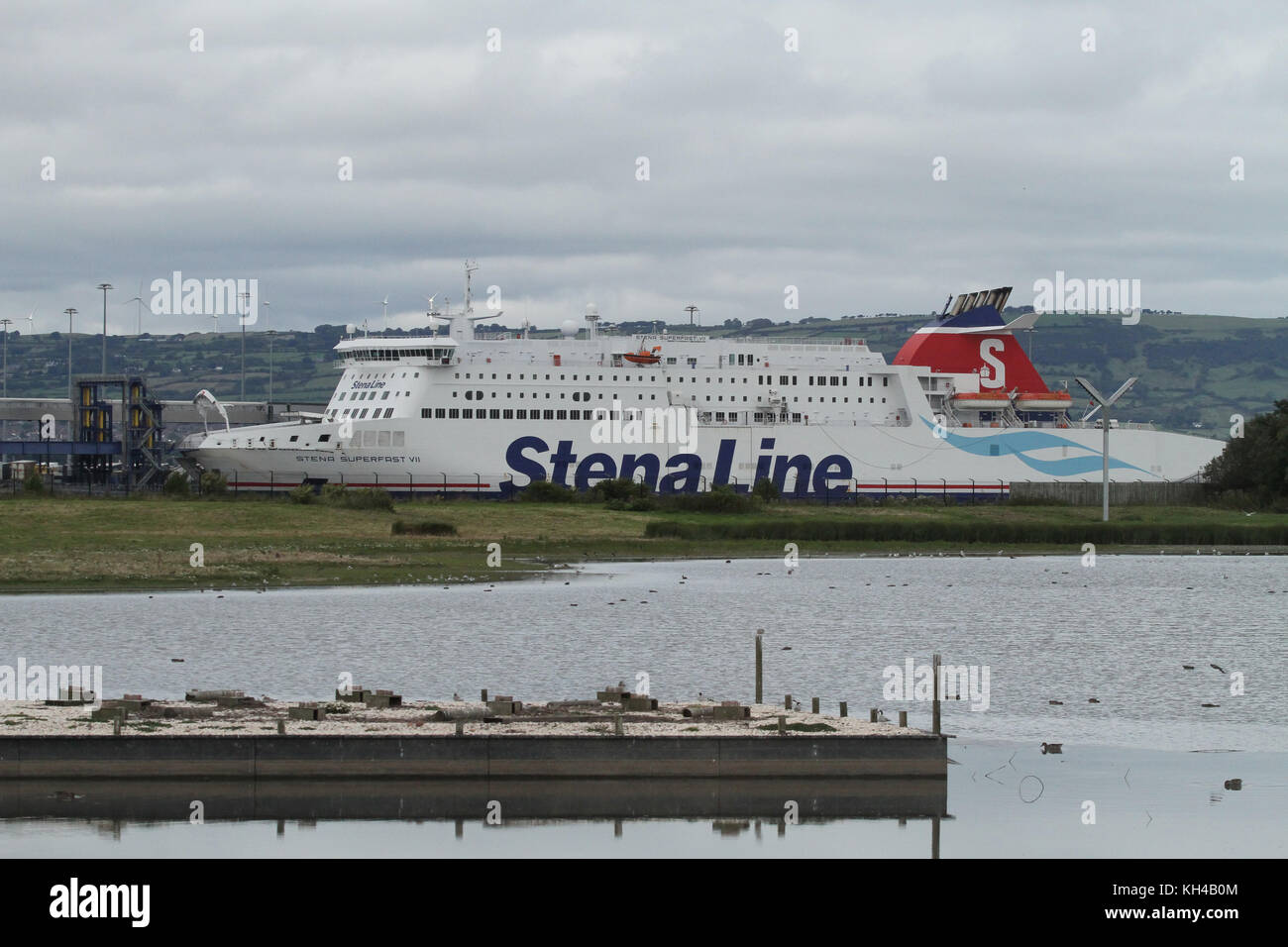 Tern raft at the RSPB reserve at Belfast Lough, with the Stena ...