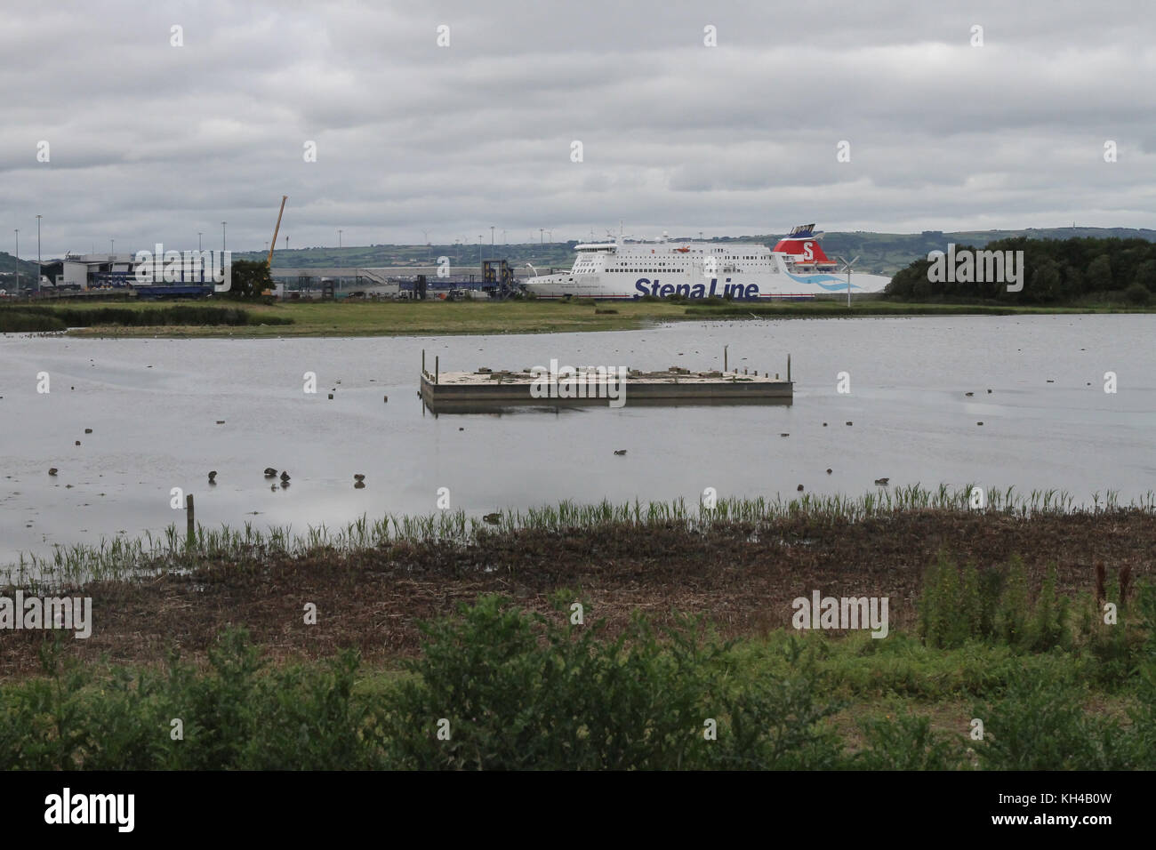 The RSPB reserve at Belfast Lough Stock Photo - Alamy