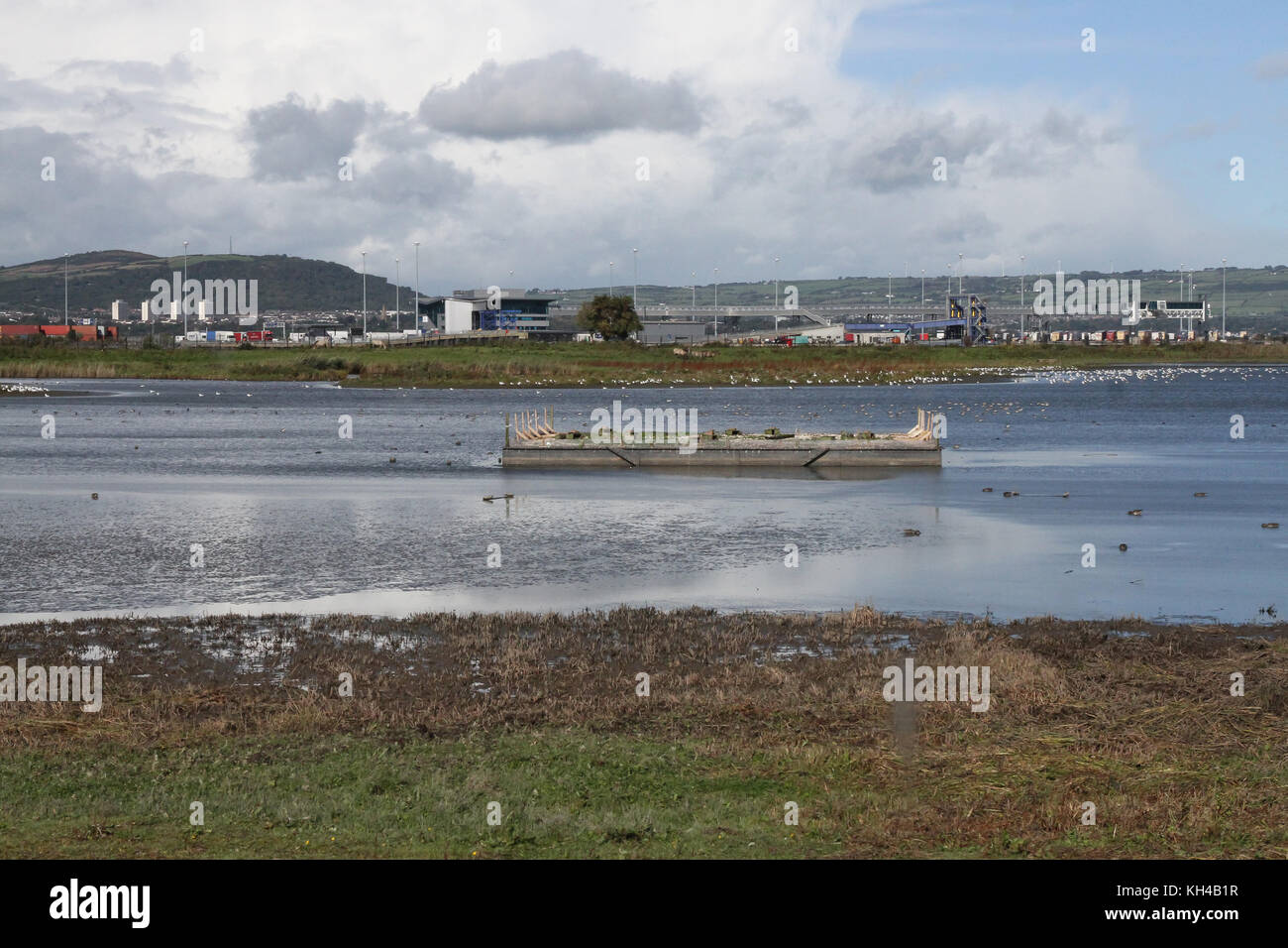 The RSPB reserve in Belfast Harbour Estate, Belfast, Northern Ireland ...