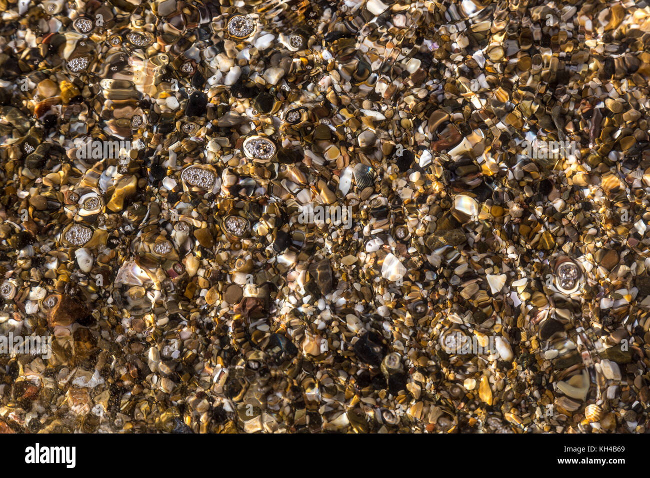 pebbles at the beach Stock Photo - Alamy