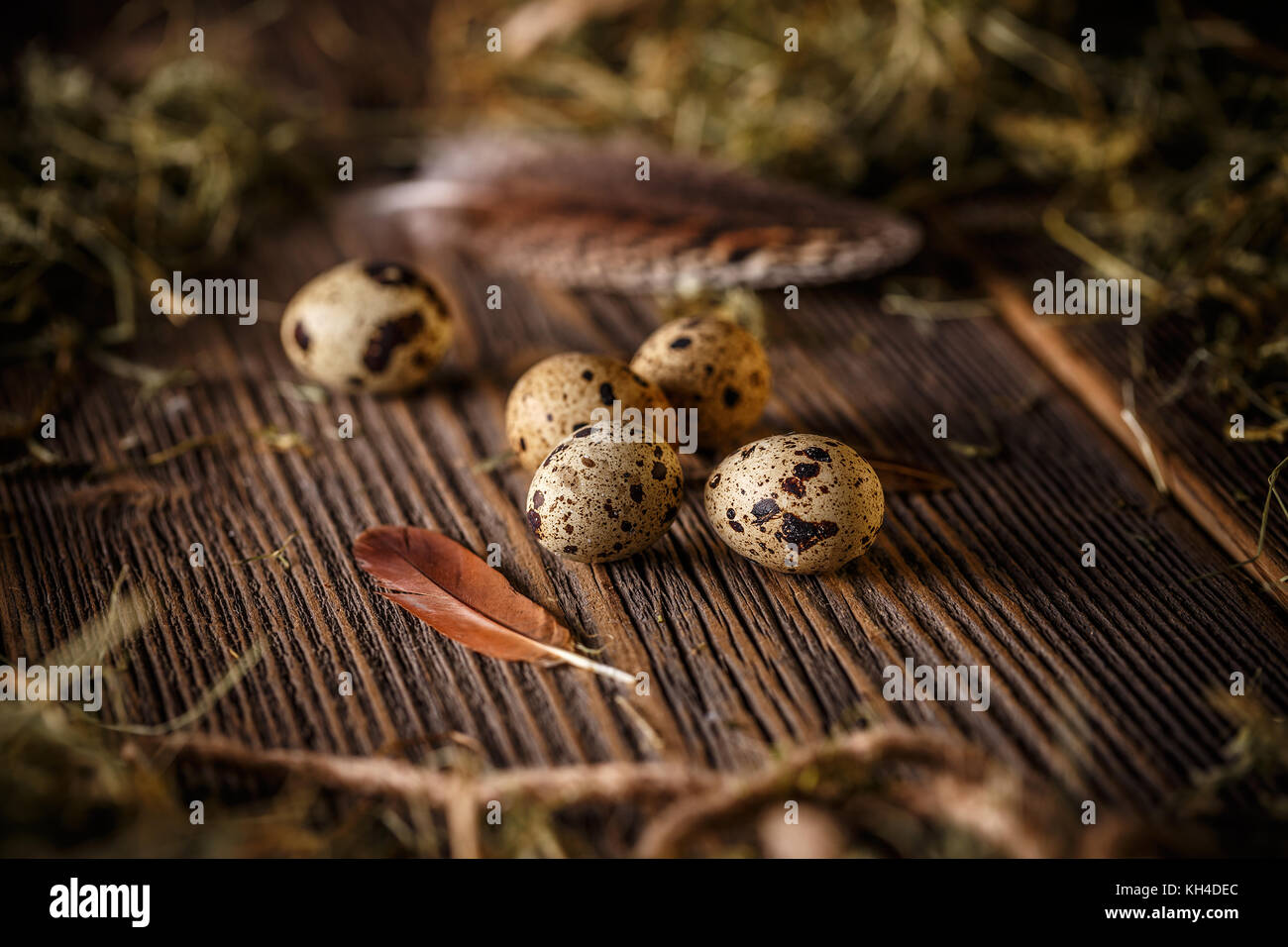 Quail eggs on rustic wooden background Stock Photo - Alamy