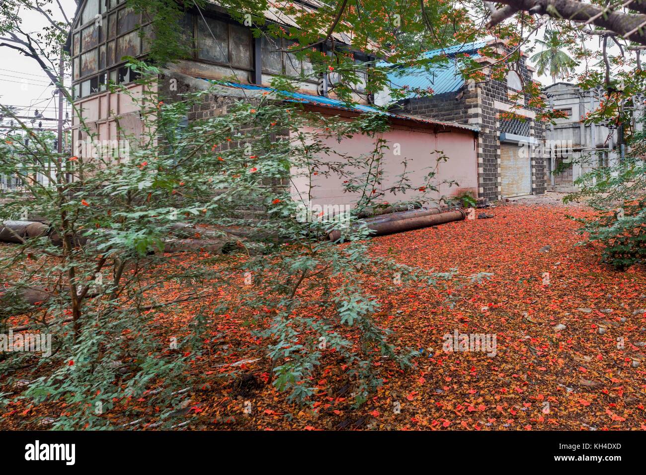 Asia works hi-res stock photography and images - Alamy