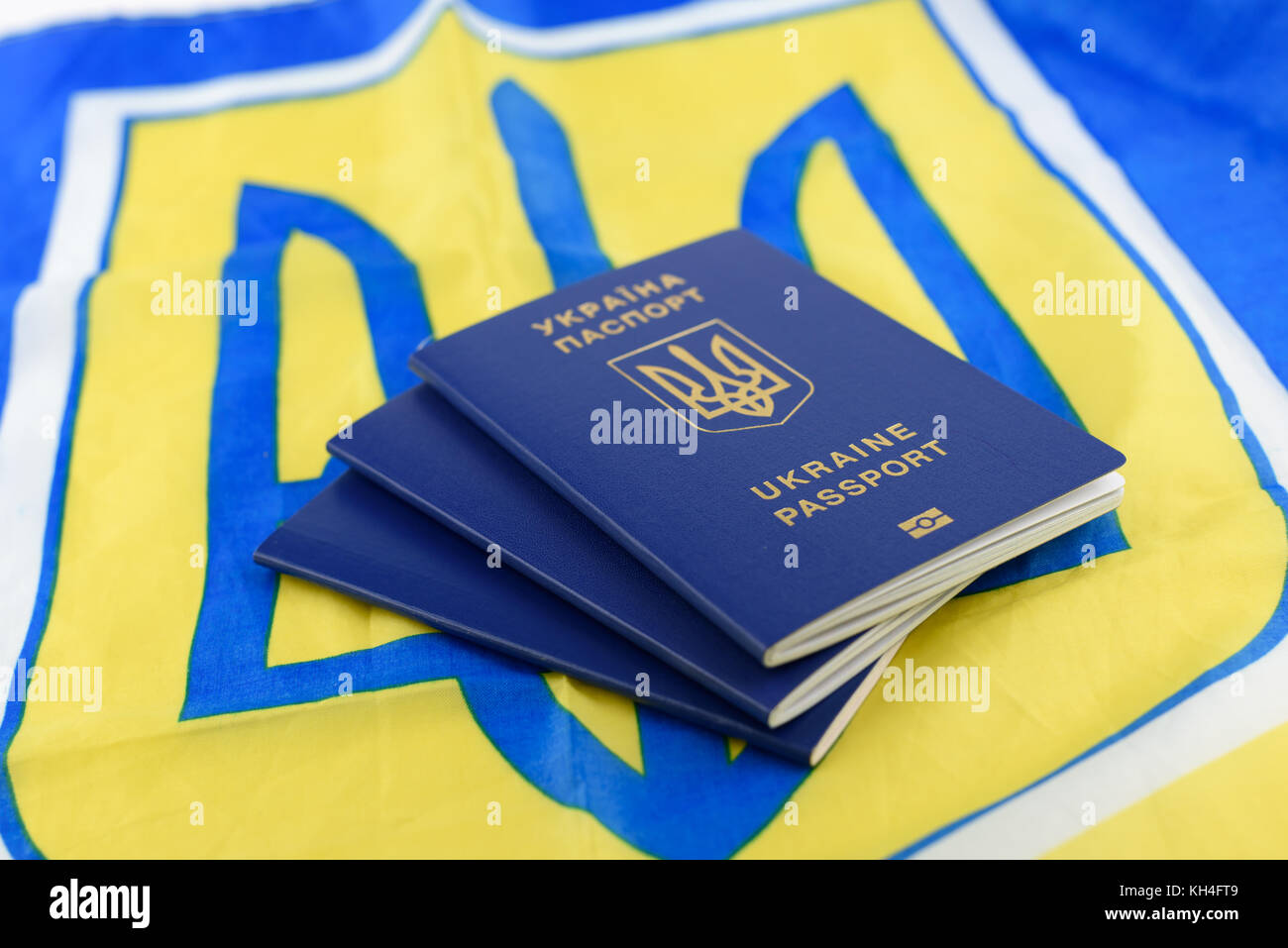 Ukrainian foreign biometric passport hi-res stock photography and ...