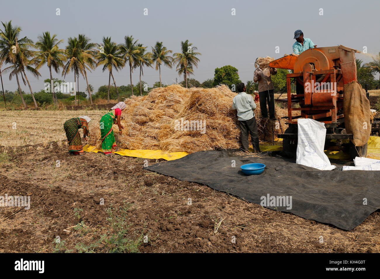 Threshing hi-res stock photography and images - Alamy