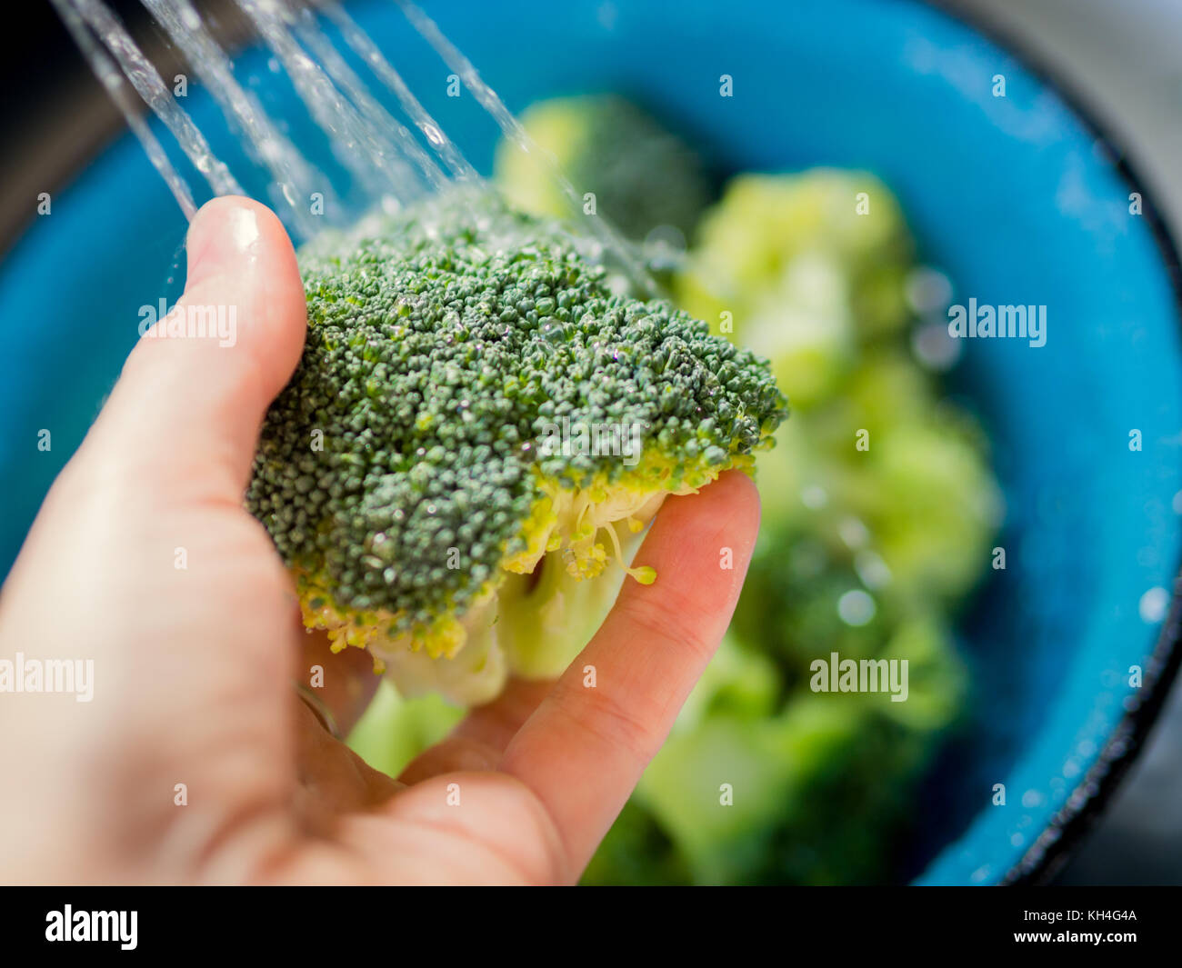 Close up of a woman hand holding broccoli under running water tap over ...