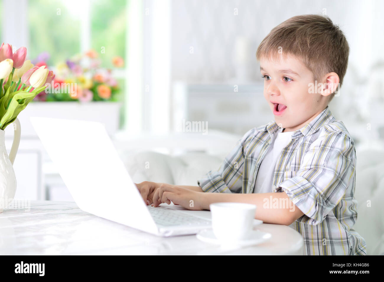 little boy using laptop Stock Photo - Alamy