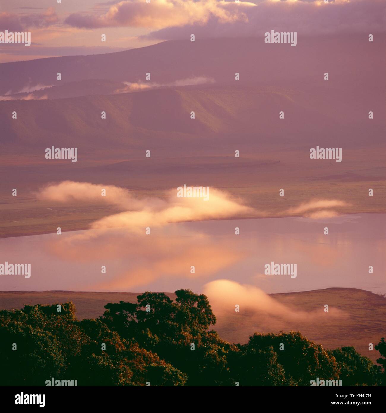 Ngoro ngoro wildlife hi-res stock photography and images - Alamy