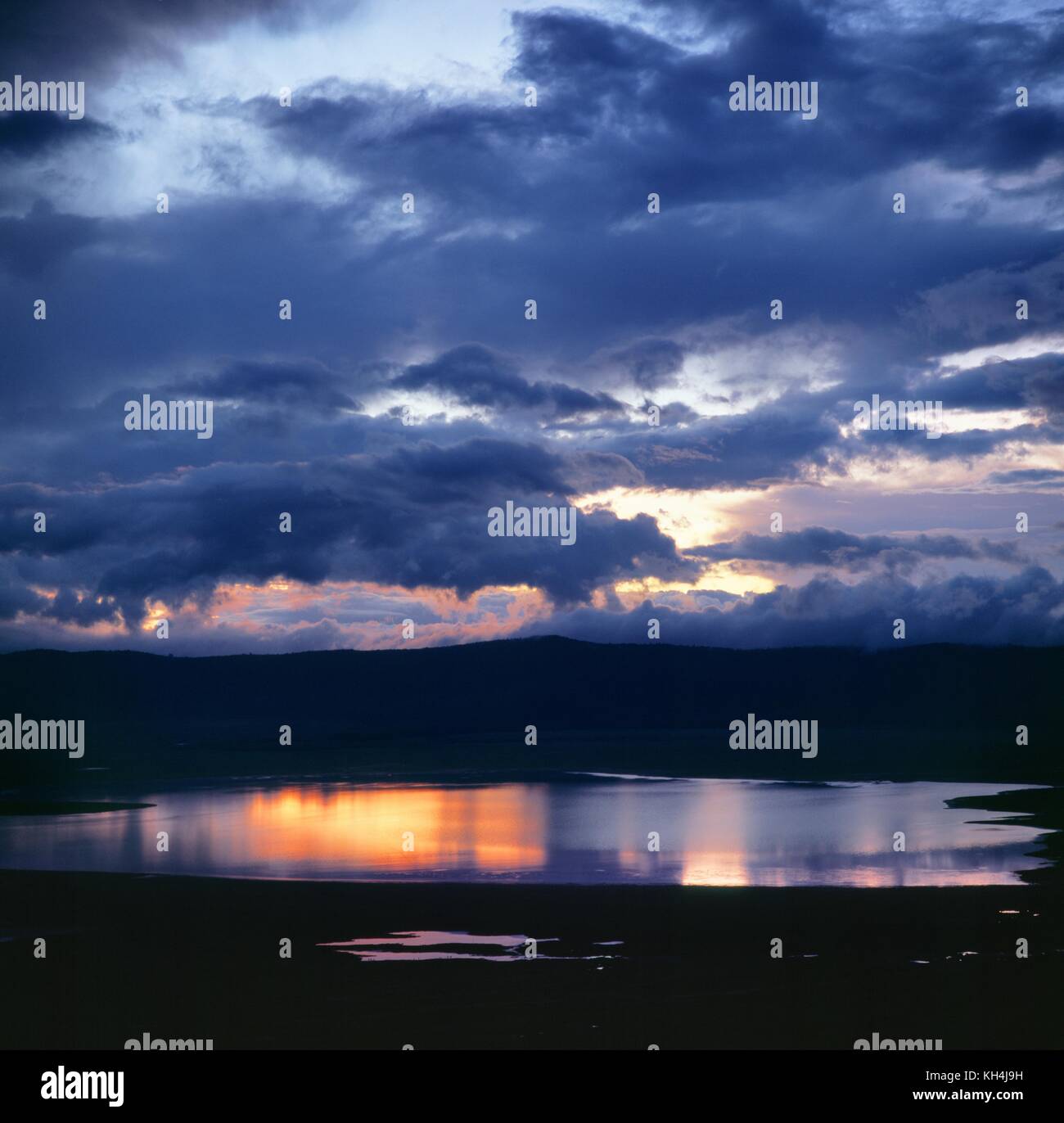 Ngoro ngoro crater wildlife hi-res stock photography and images - Alamy