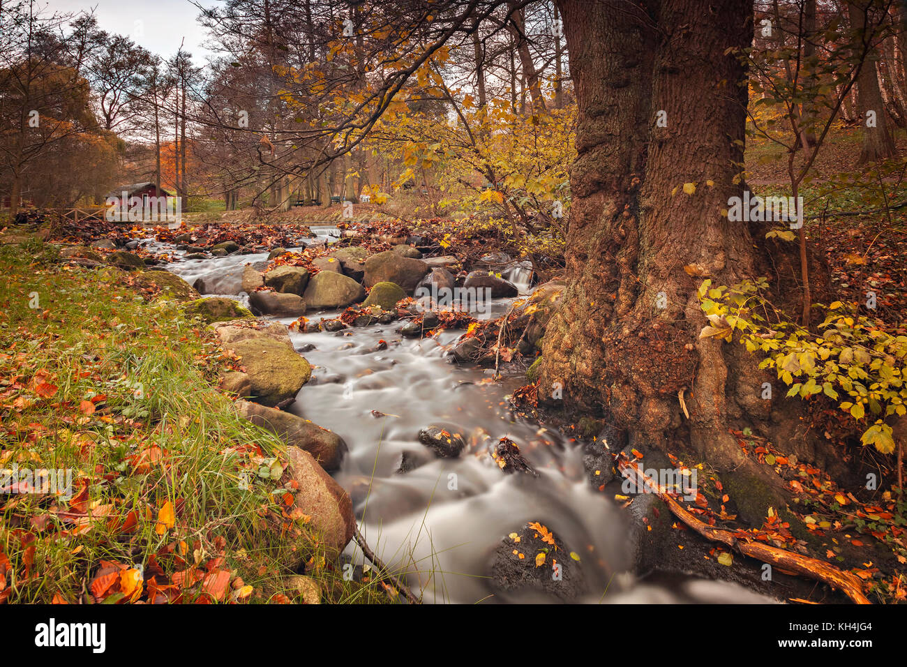 Sweden forest mountain hi-res stock photography and images - Alamy