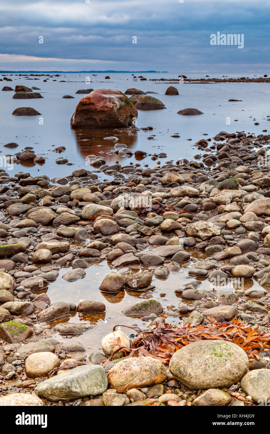 Boulders and rocks by the beach. Hittarp, Sweden Stock Photo - Alamy