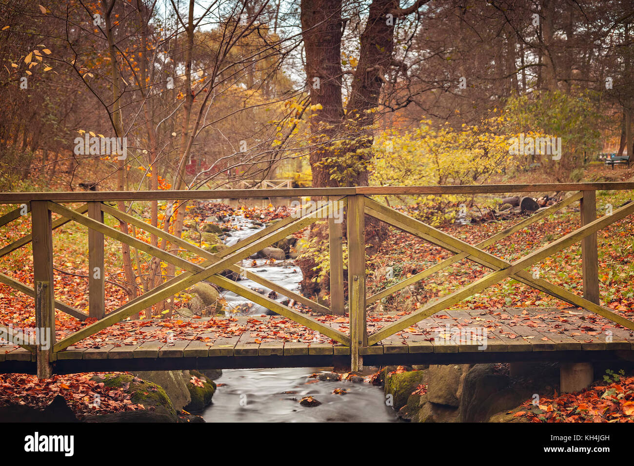 Park foot bridge hi-res stock photography and images - Alamy