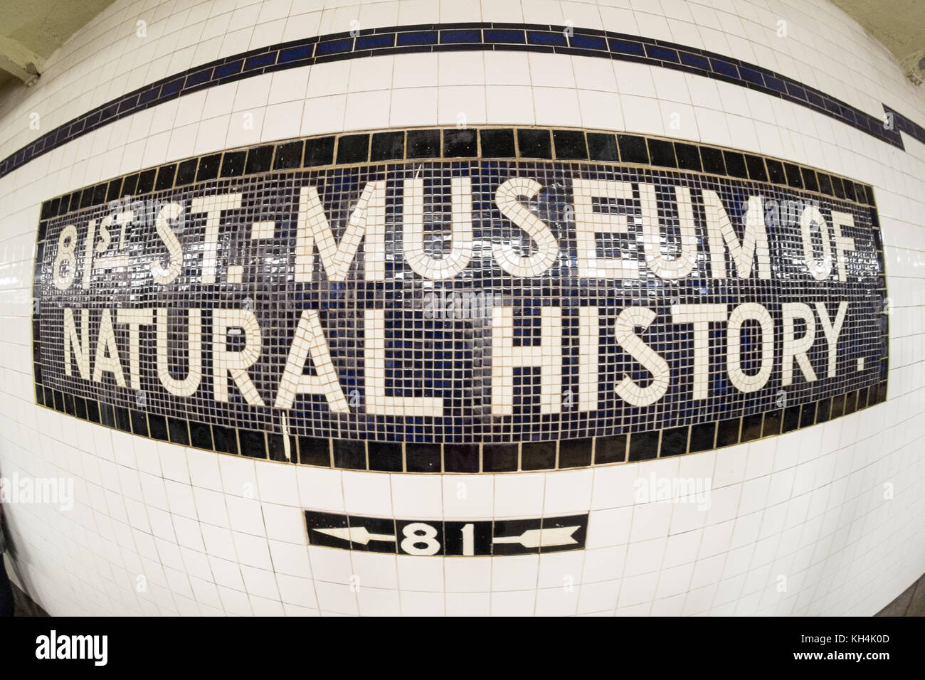 Mosaic sign for the Museum of American Natural History, Central Park ...