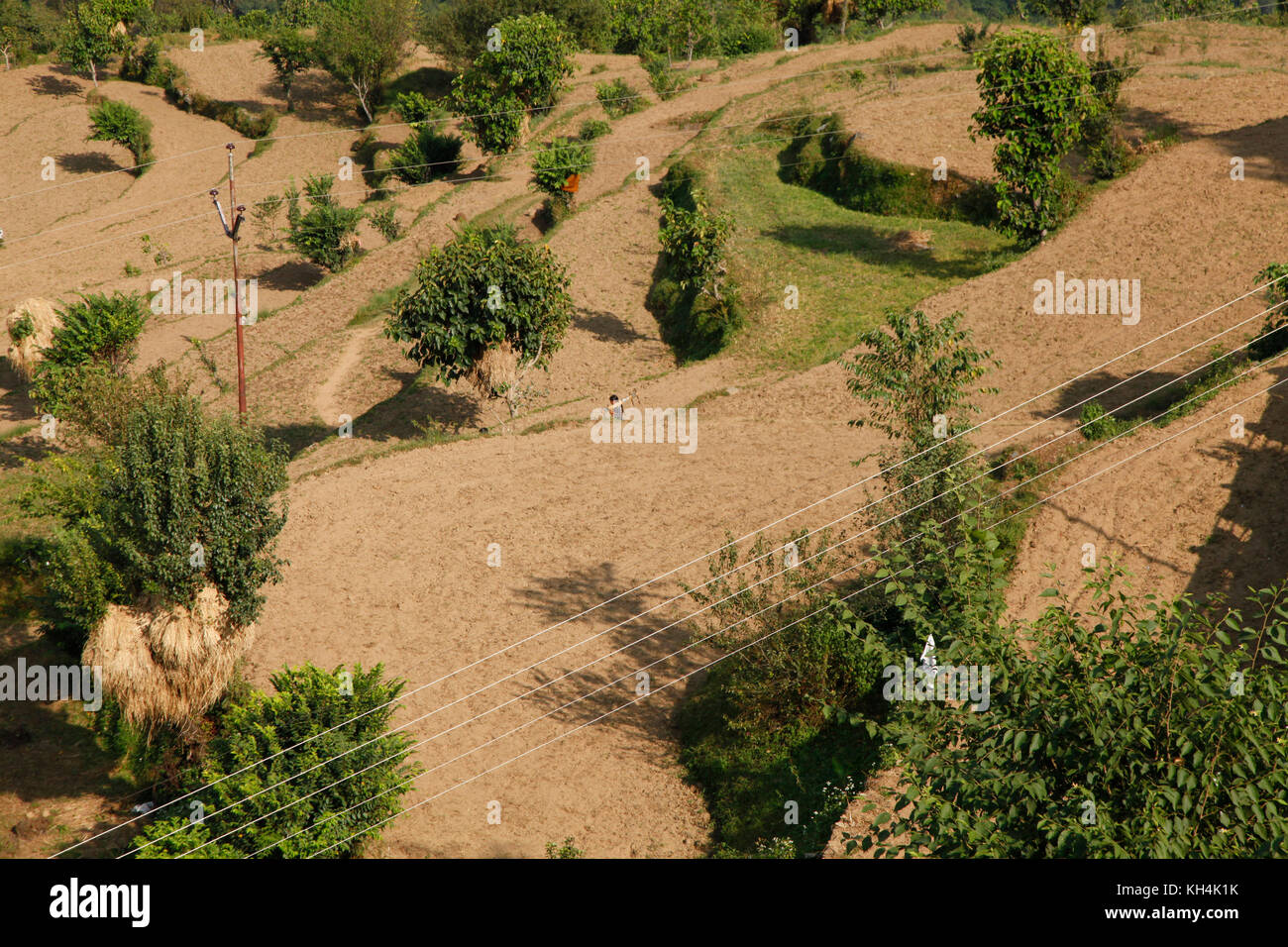 Himalaya Uttrakhand Agricultural Land, (Photo Copyright © Saji Maramon ...