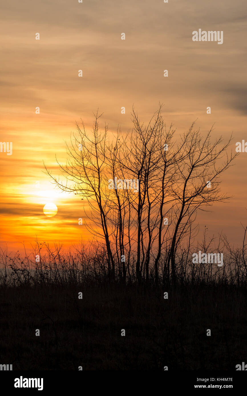 Beautiful sunset landscape with tree Stock Photo - Alamy
