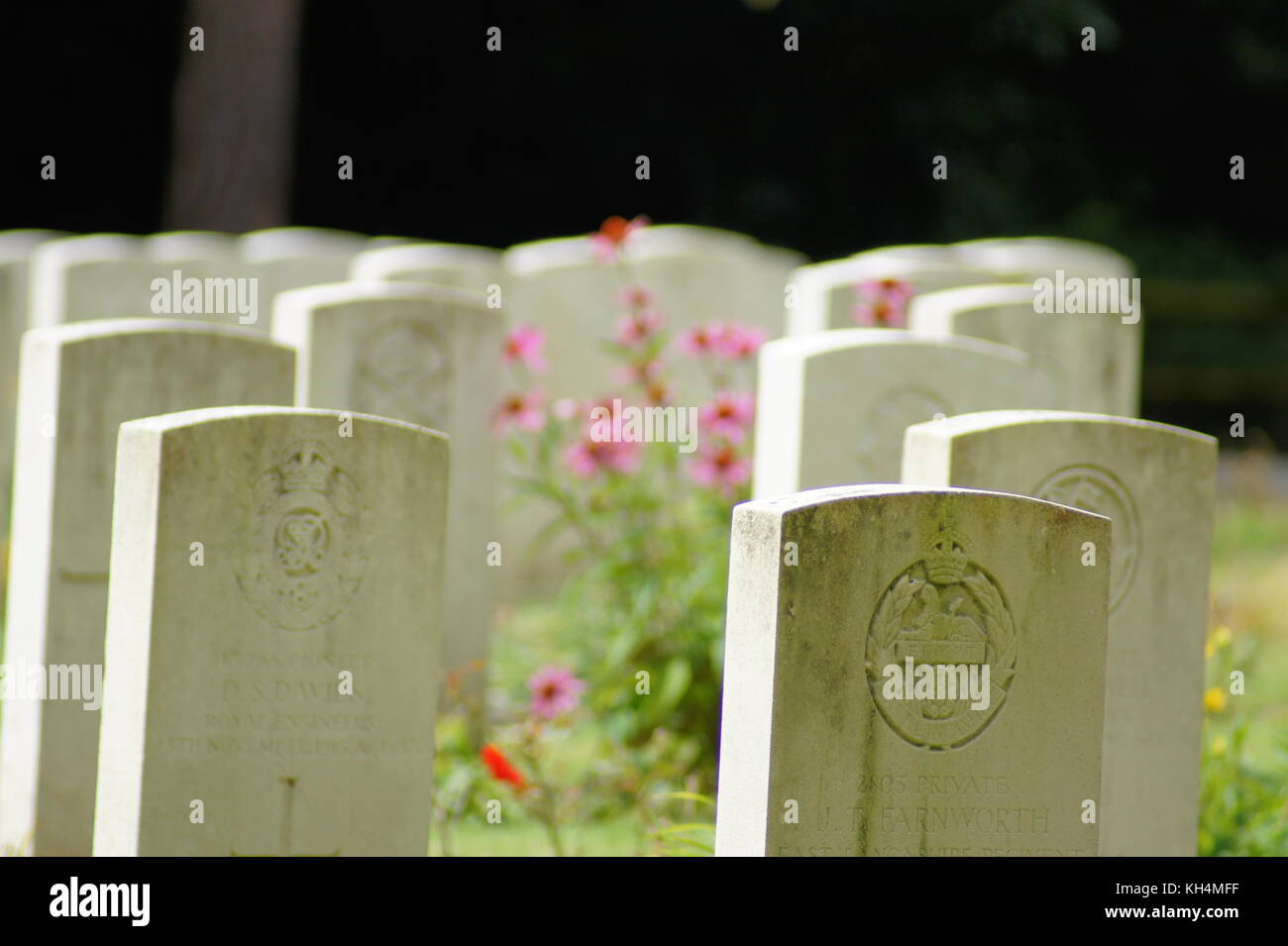 Age shall not weary them, nor the years condemn Stock Photo - Alamy