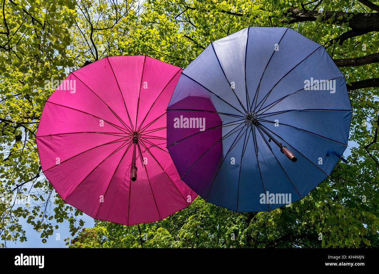 Umbrellas hanging on trees over a pedestrian zone Stock Photo - Alamy