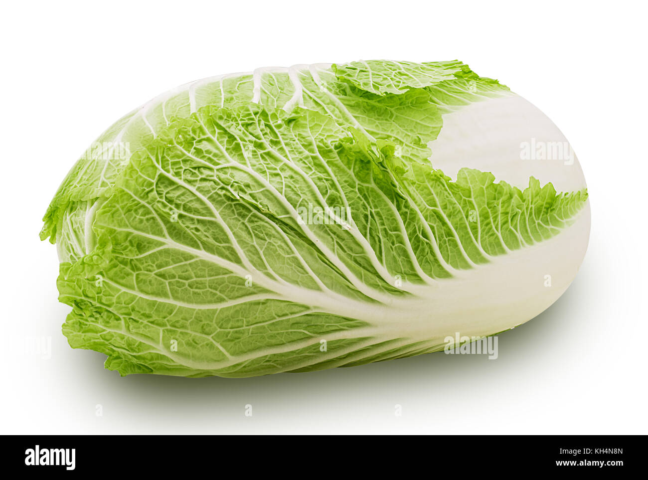 Green Peking cabbage isolated on white background. Clipping Path. Full ...