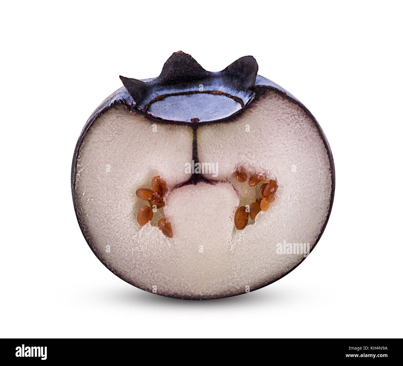 Ripe blueberry cut in half isolated on white background. Clipping Path ...