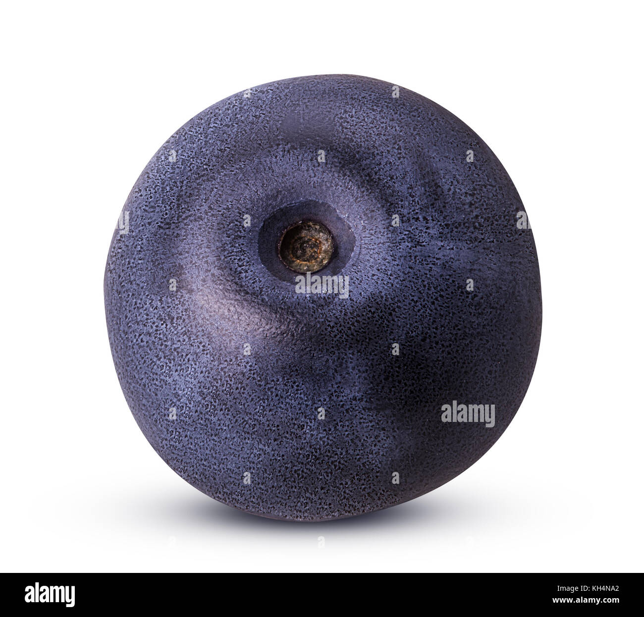 Ripe blueberry isolated on white background. Clipping Path Stock Photo ...