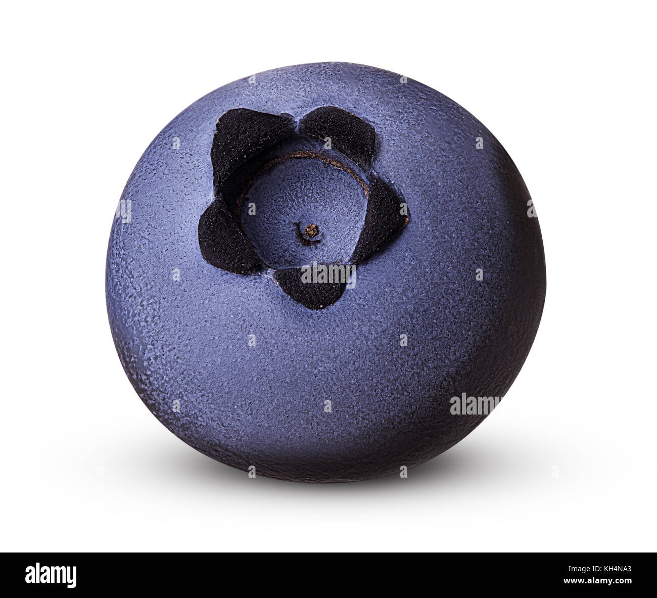 Ripe blueberry isolated on white background. Clipping Path. Full depth ...