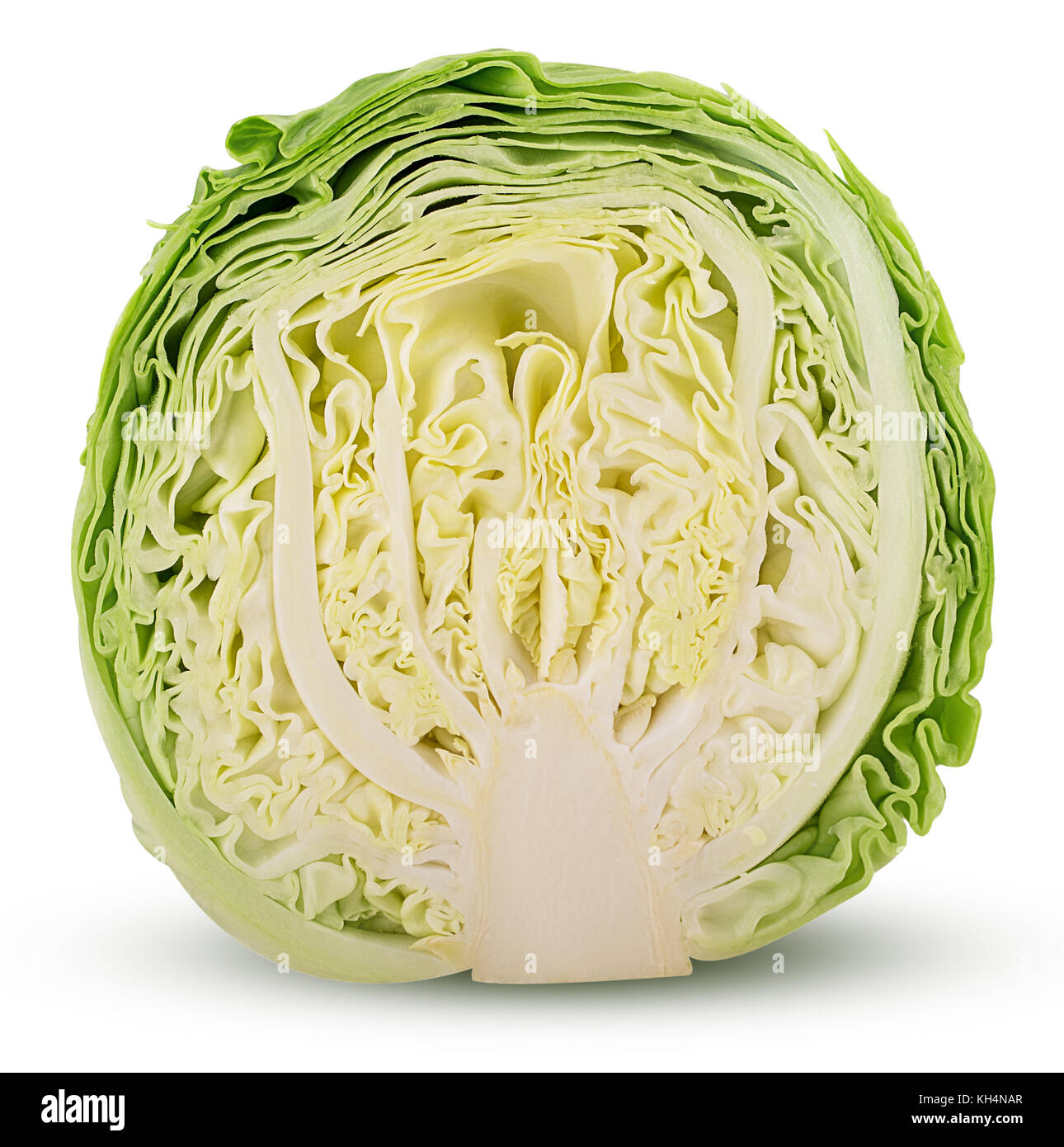 Green cabbage cut in half isolated on white background. Clipping Path ...