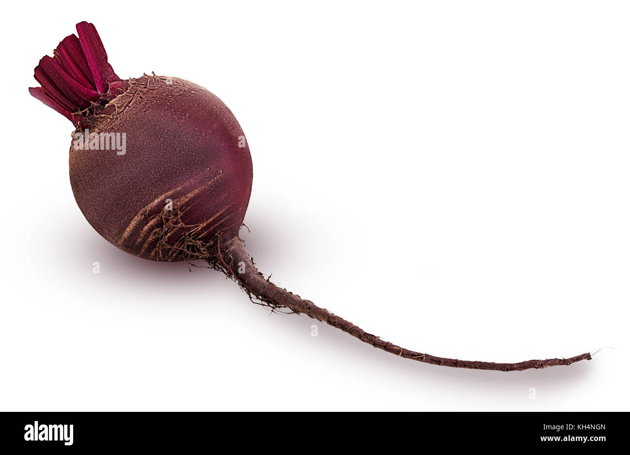 Fresh red beet root isolated on white background. Clipping Path. Full ...