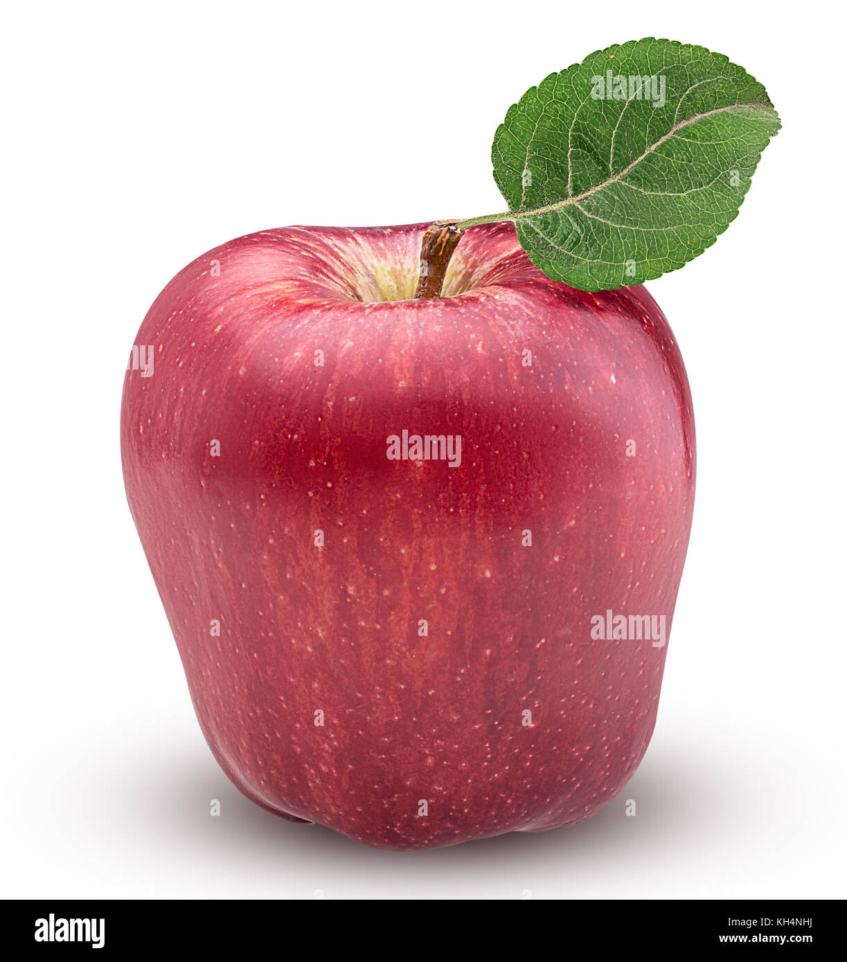 Red apple with leaf isolated on white background. Clipping Path Stock ...