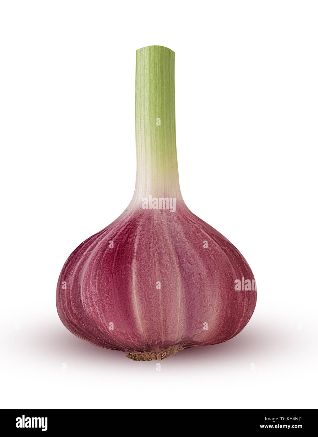 Fresh young red garlic isolated on white background. Clipping Path.Full ...