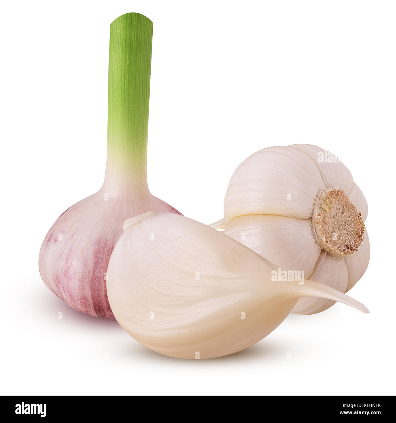 Two fresh young garlic and one slice isolated on white background ...