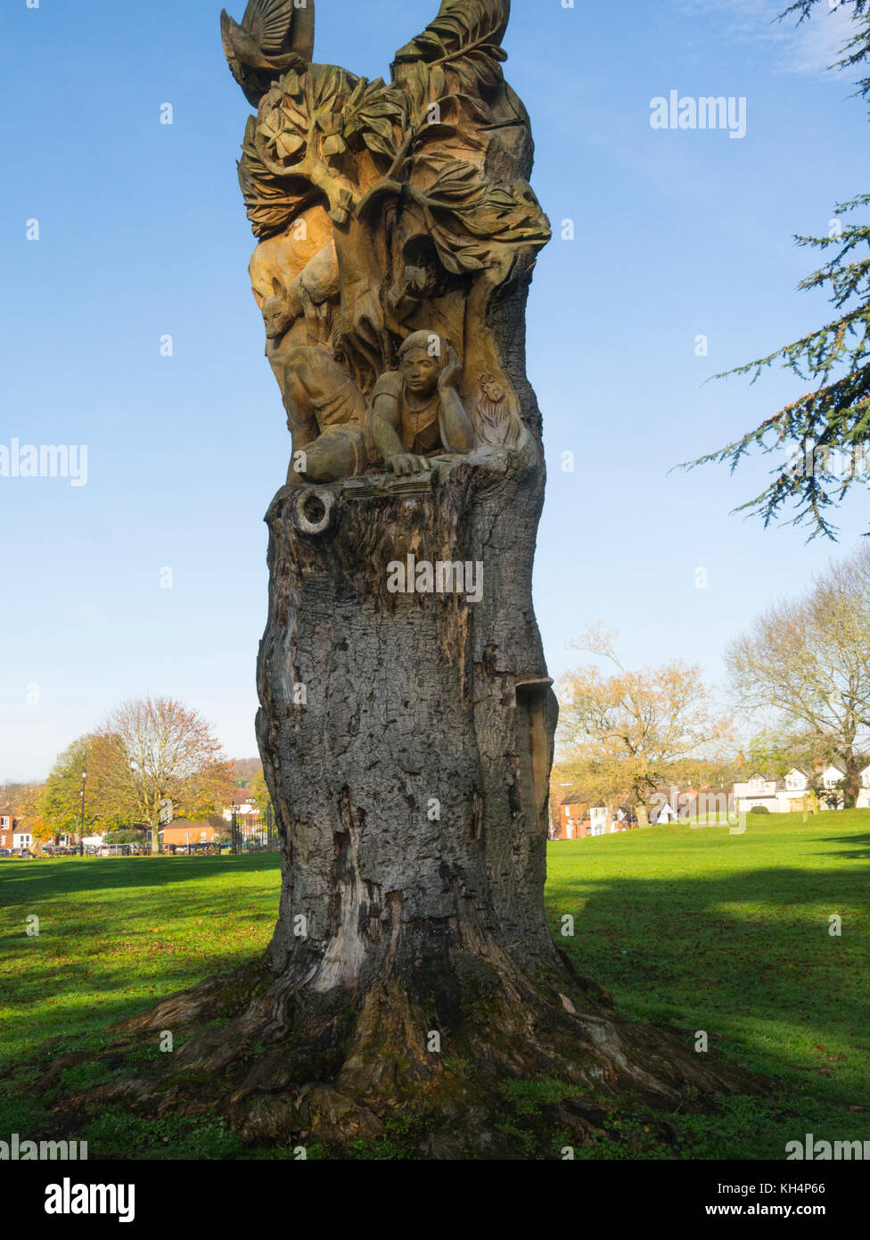 Leafing Through History beech trunk carving by Tom Harvey 2007 Abbey ...
