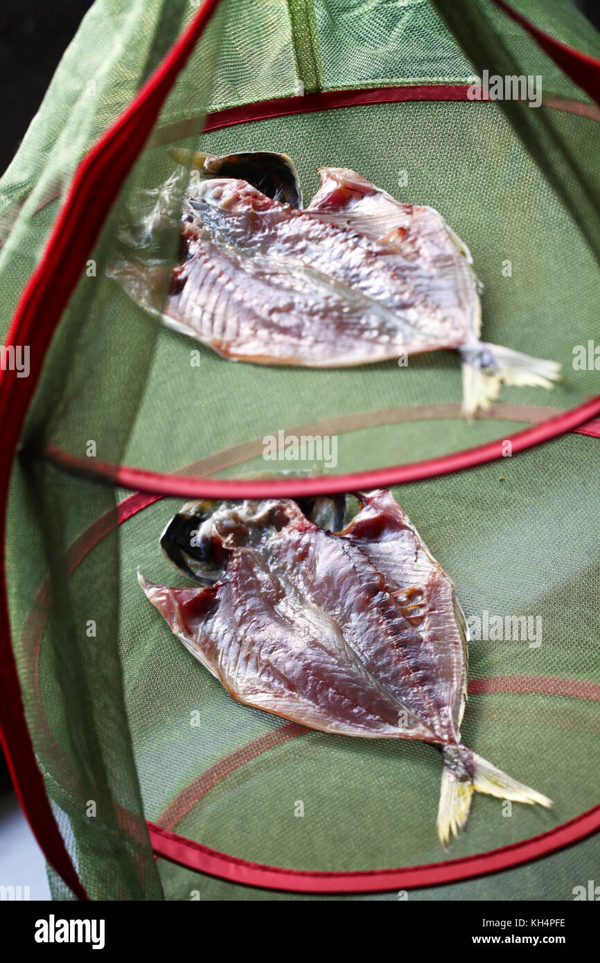 making japanese dried fish, sakana no himono, japanese food Stock Photo ...