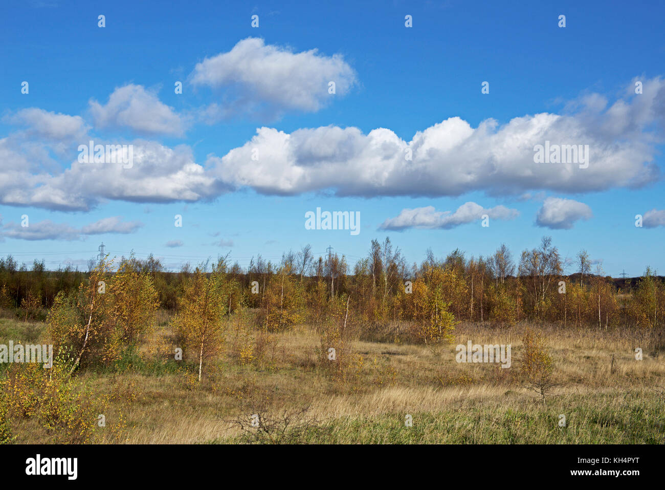 Fairburn ings nature reserve rspb hi-res stock photography and images ...