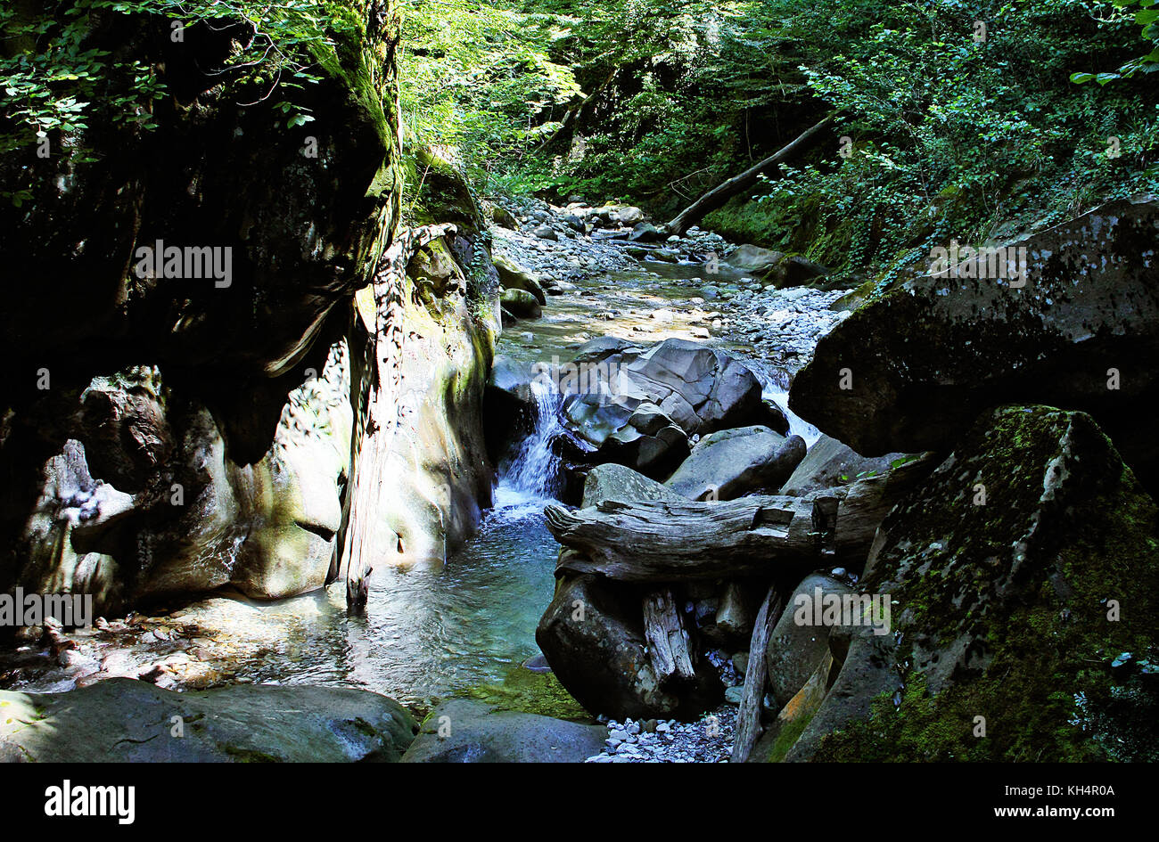 Riverhead in the mountains of Northern Caucasus Stock Photo - Alamy