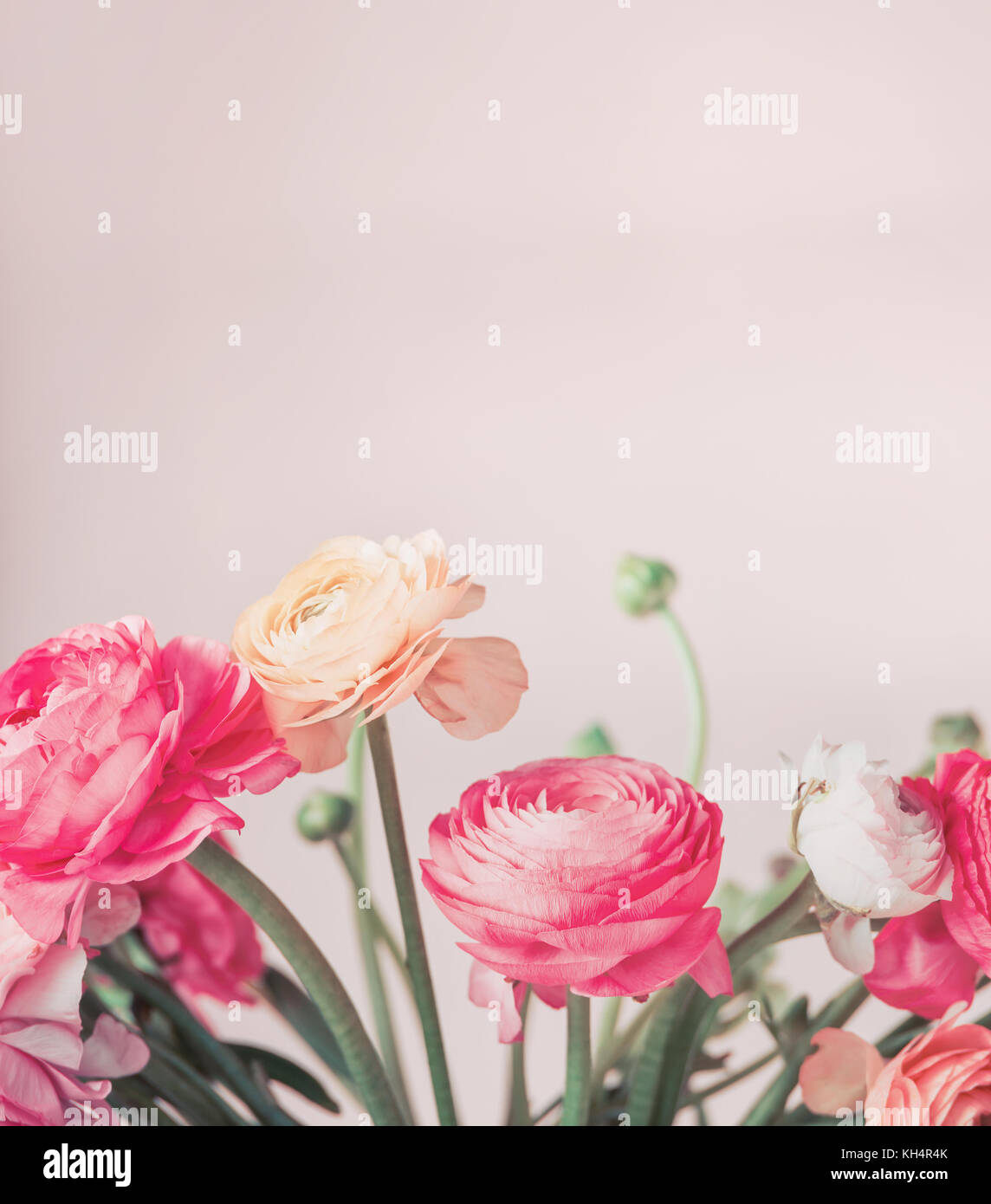 Light Color Flower Backgrounds