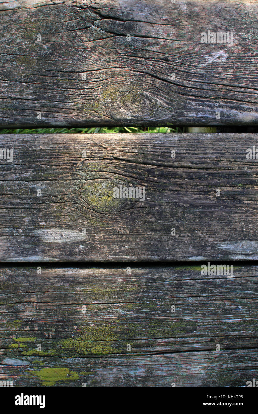 autumn season - wood texture Stock Photo - Alamy