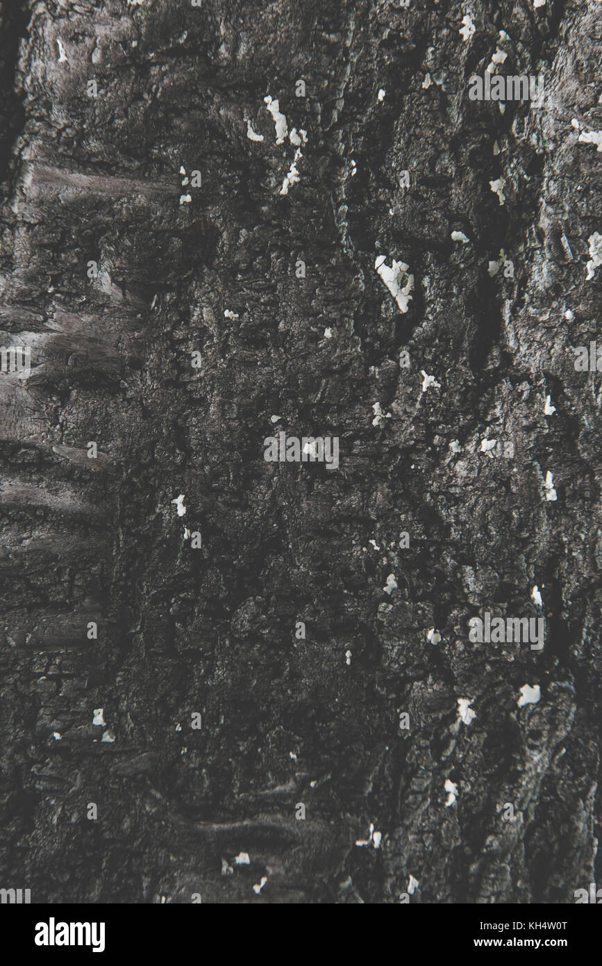 black rough background Stock Photo - Alamy