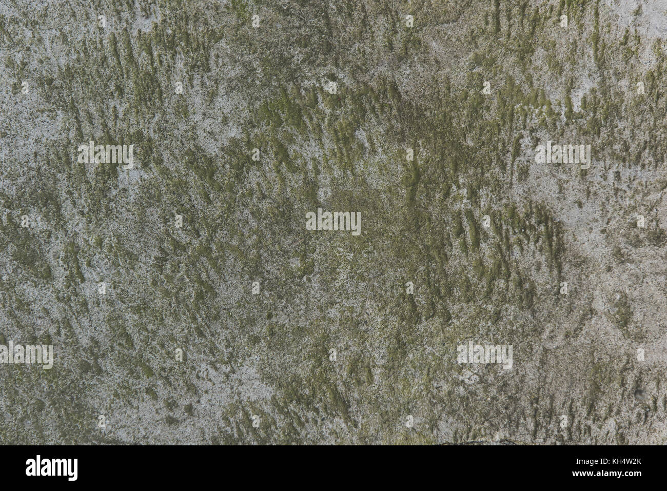 rough wall texture Stock Photo - Alamy