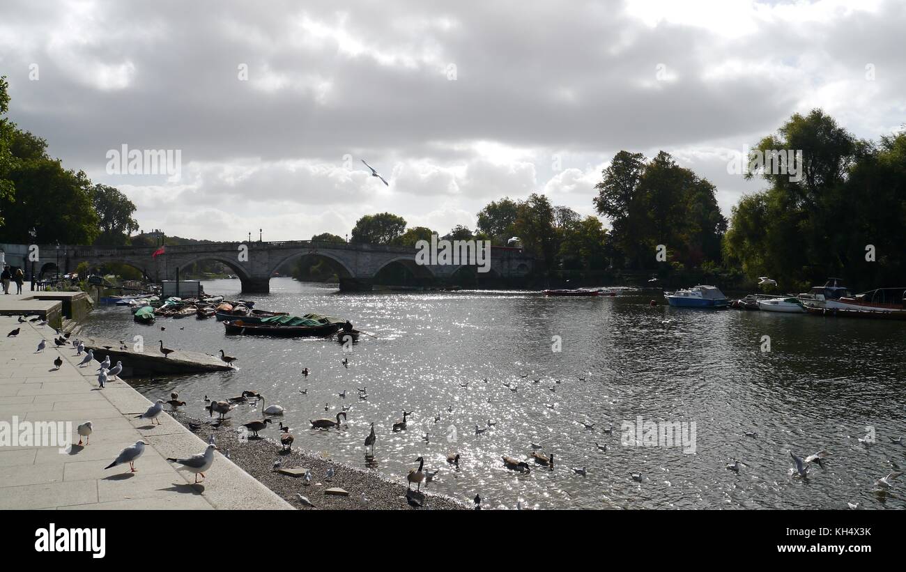Richmond Upon Thames Riverside in london Stock Photo - Alamy