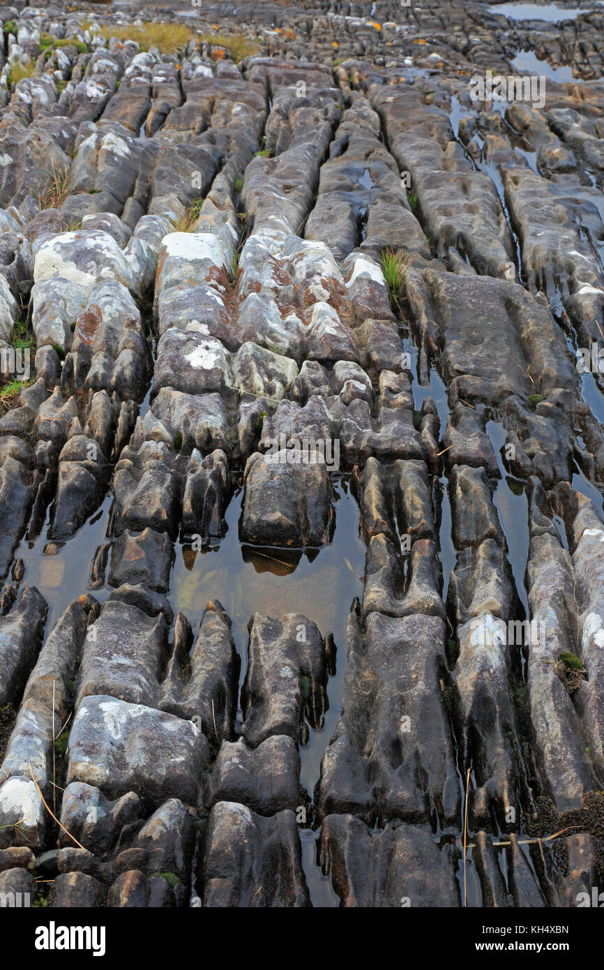 Rock formations on Elgol Beach Isle of Skye Stock Photo - Alamy