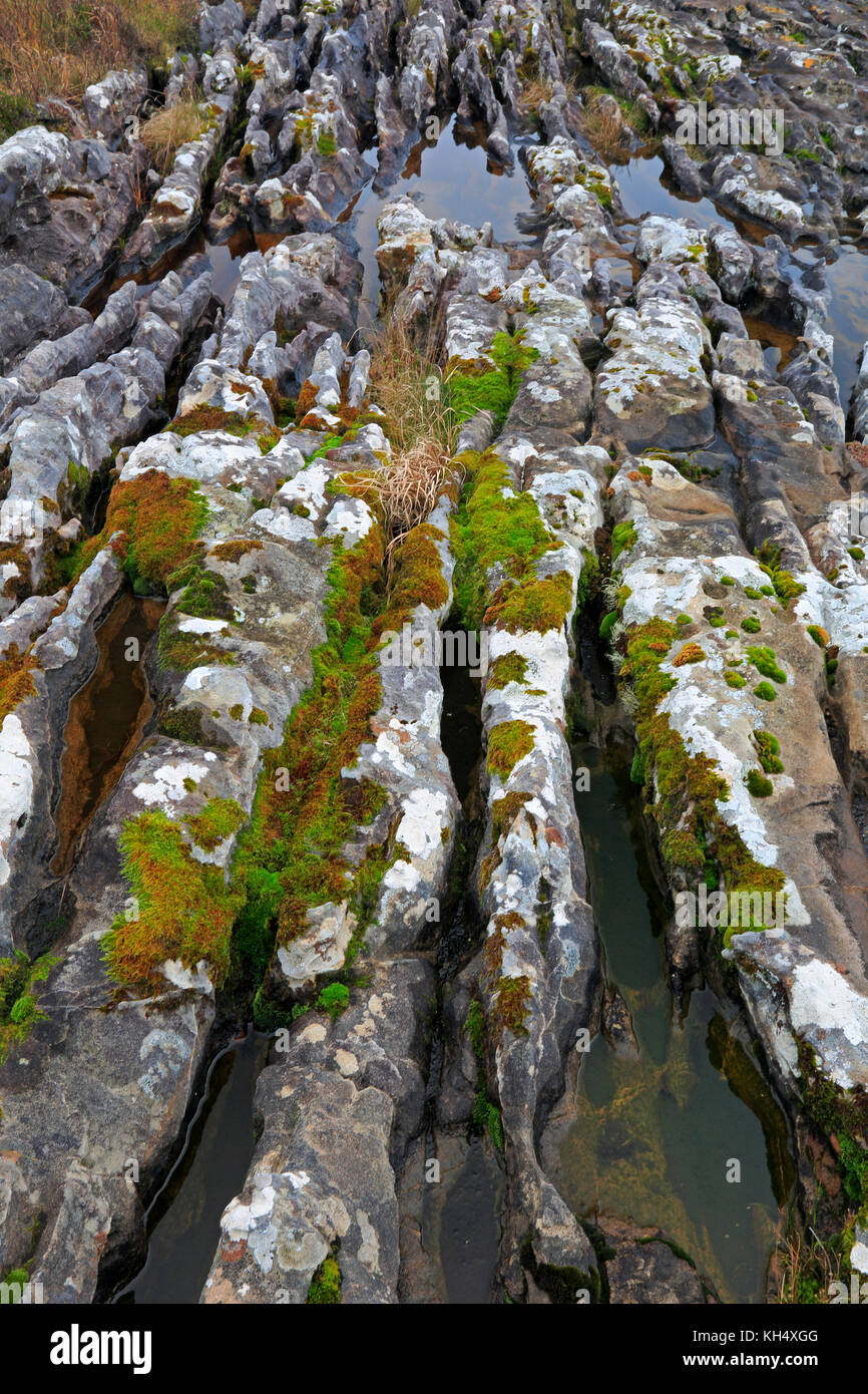 Rock formations on Elgol beach Isle of Skye Stock Photo - Alamy