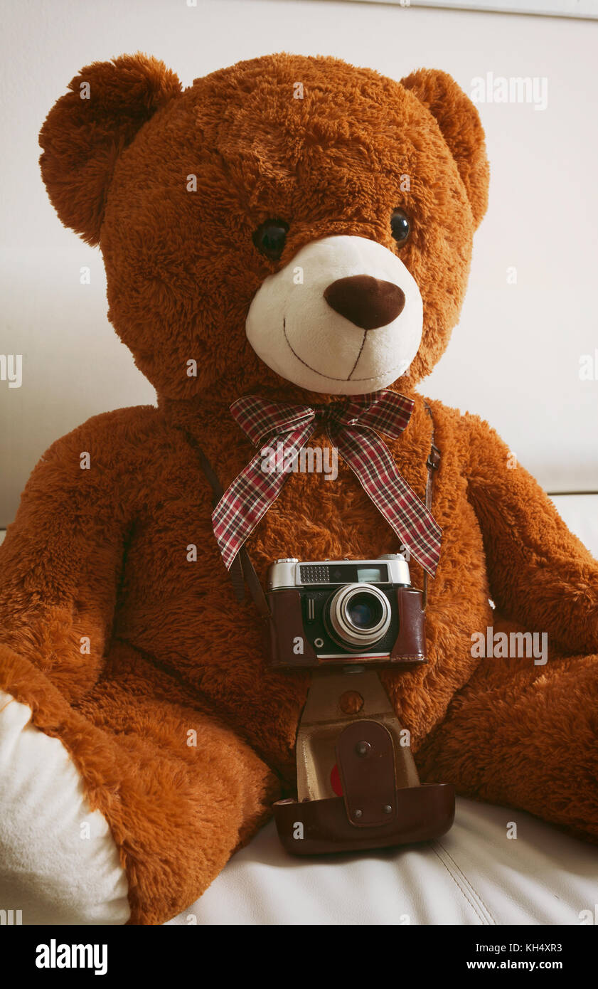 Photo old toy bear hi-res stock photography and images - Alamy