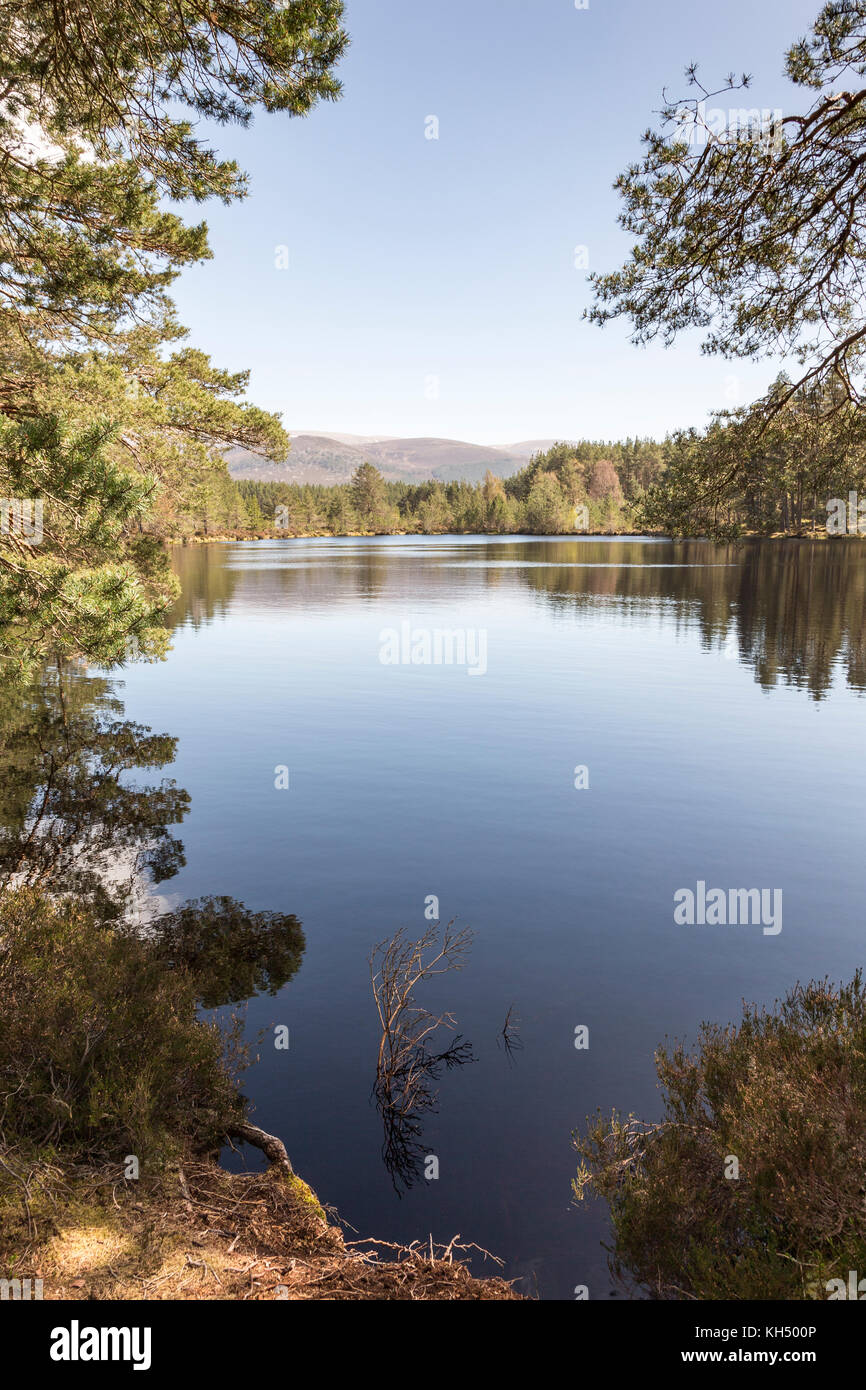 Uath Lochan at Glen Feshie in the Highlands of Scotland Stock Photo - Alamy