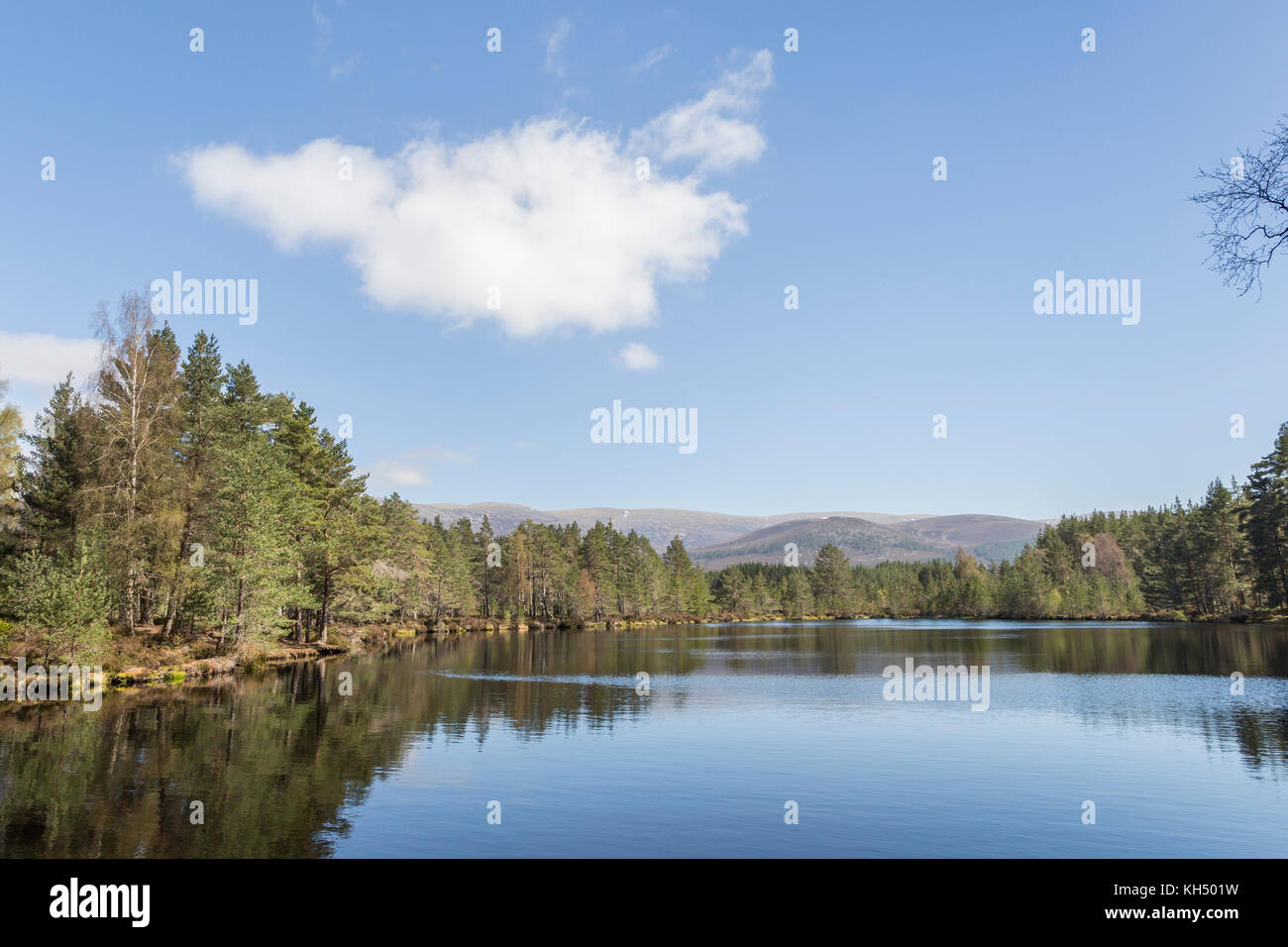 Uath Lochan at Glen Feshie in the Highlands of Scotland Stock Photo - Alamy
