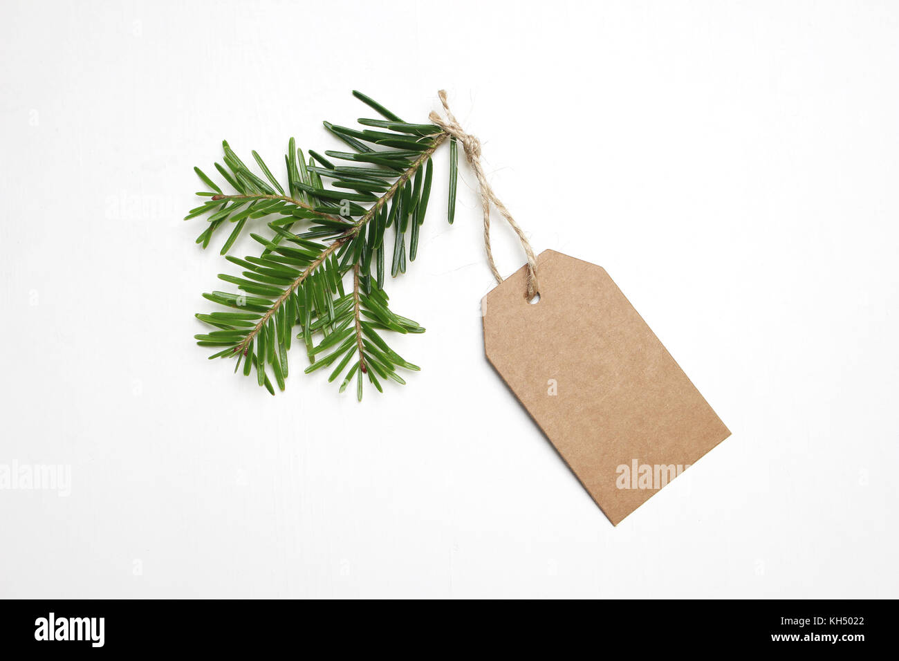 Close-up of craft paper gift tag with rope and green fir branch ...