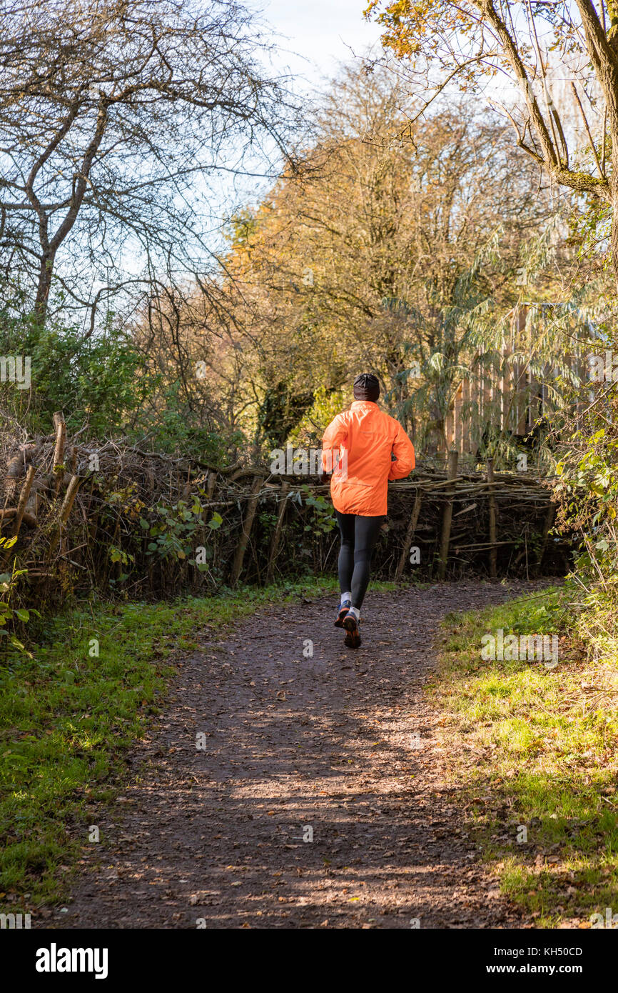 A Runner on the paths of Haysden Country Park in Winter, Tonbridge ...